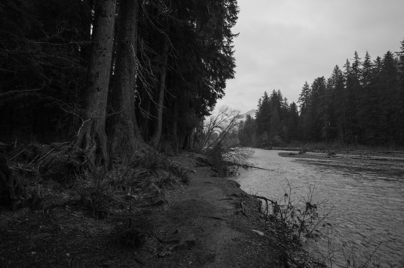 16 Twilight-Themed Things To Do In Forks, Washington