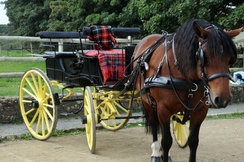 Discover This Charming Channel Island By Horse-Drawn Cart, Where Cars ...