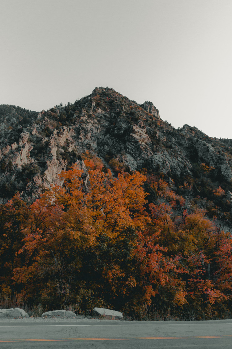 10 Places In Utah That Are The Most Beautiful During The Fall Season