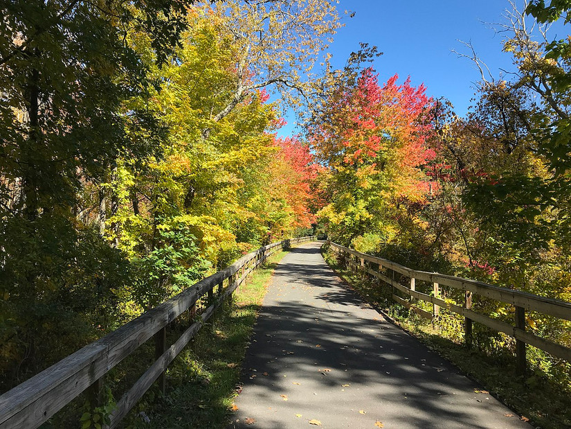 10 Of The Least-Crowded Towns To Visit In Massachusetts To See Fall Foliage