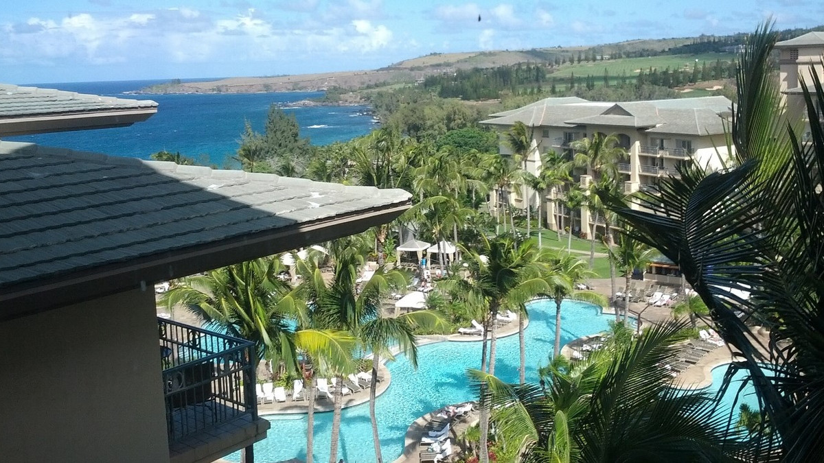 10 Best Ritz Carlton Hotels & Resorts In The US