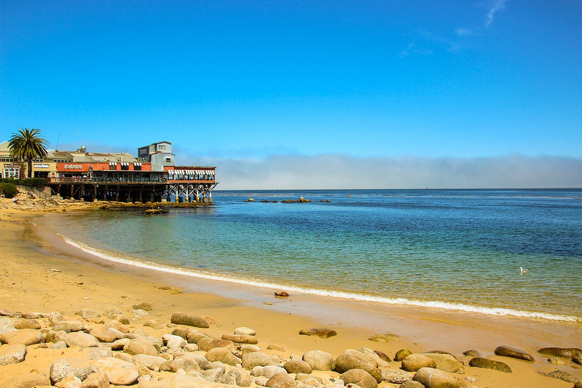 10 Scenic Eco-Friendly Tours You Can Take In Monterey