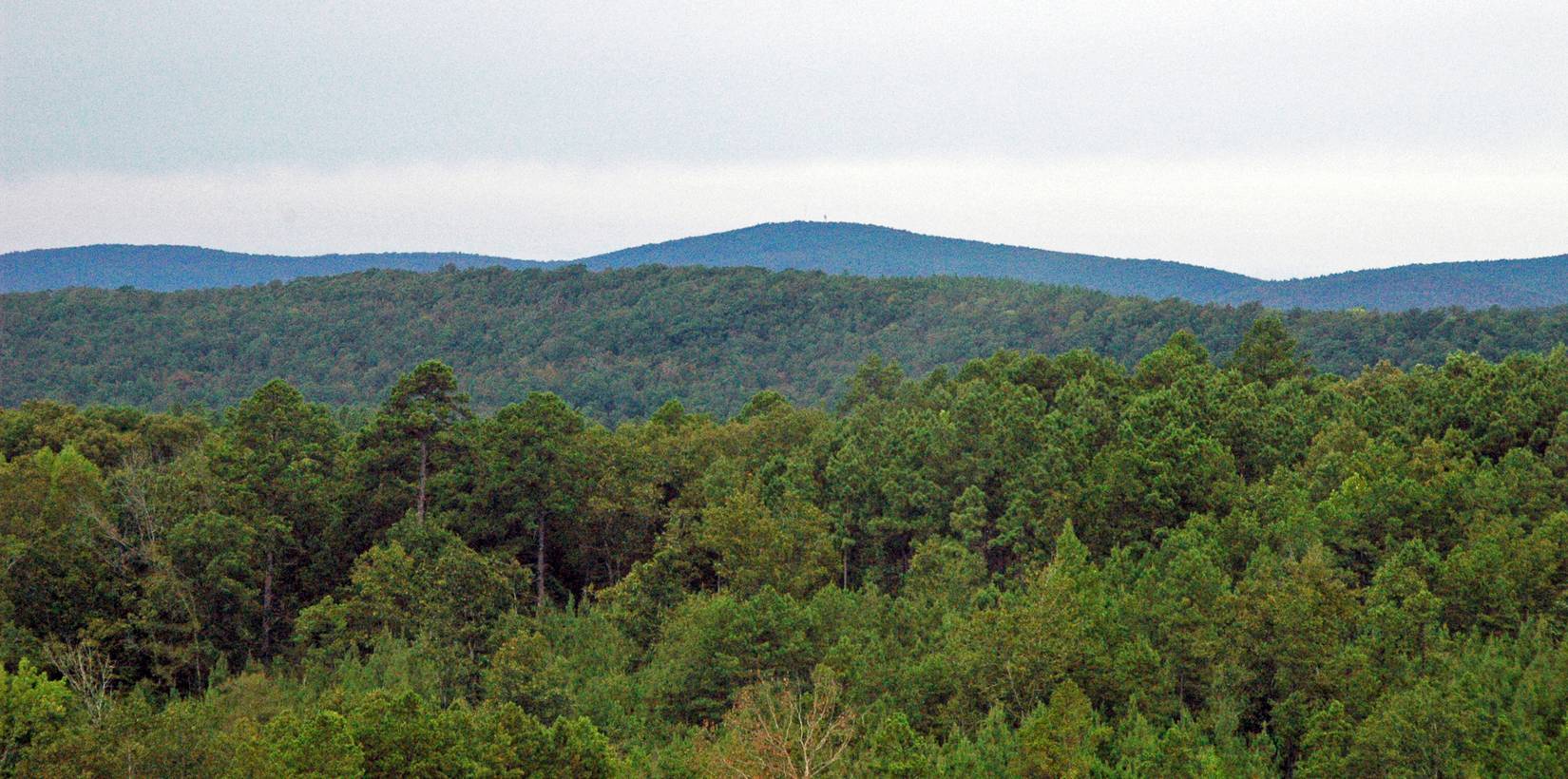 Cutest Small Towns In The Ouachita Mountains To Visit In 2024
