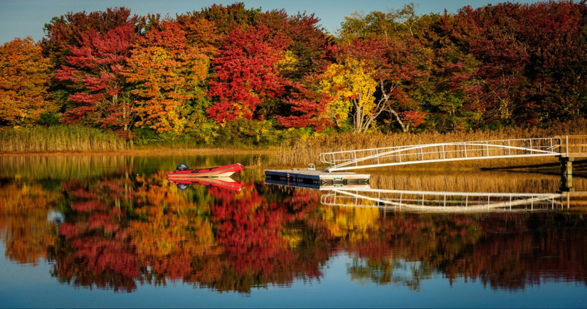 A Full Guide To Maine's Brilliant Fall Foliage (& Where To See It)
