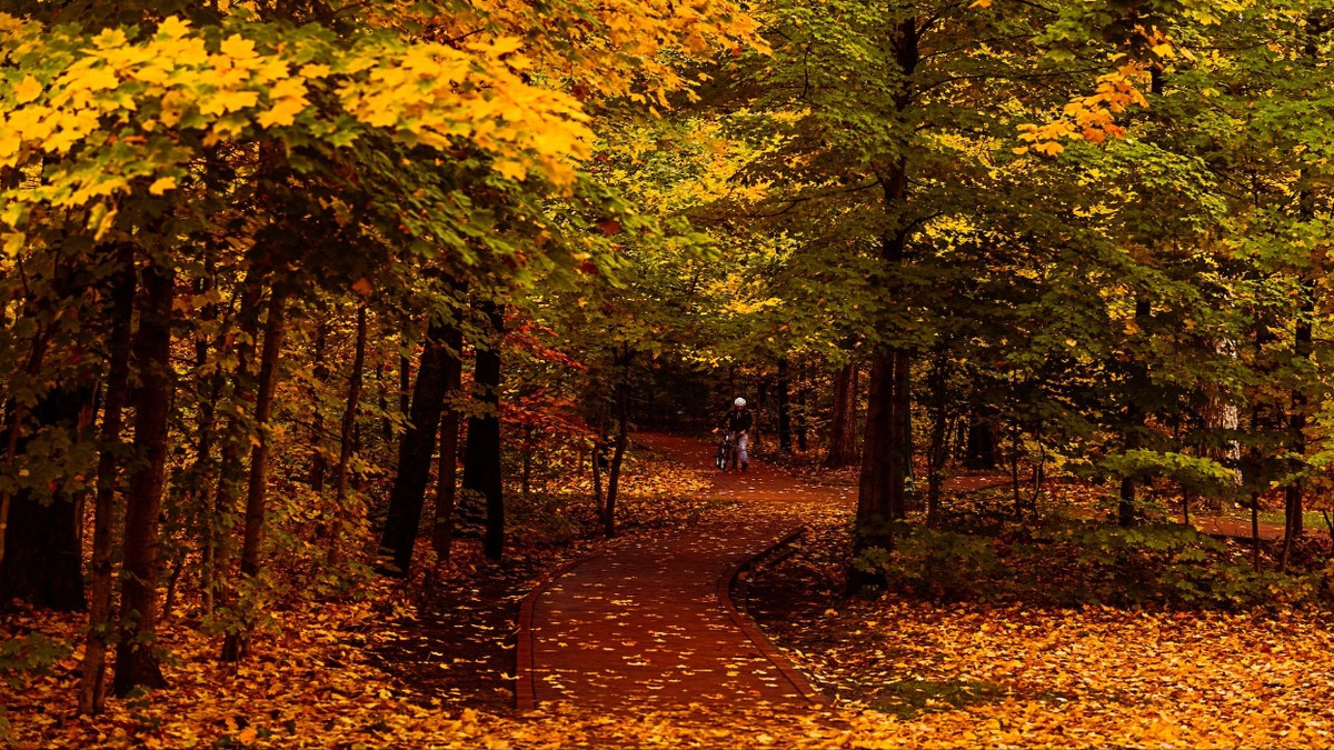 10 Of The Least-Crowded Towns To Visit In The Midwest To See Fall Foliage