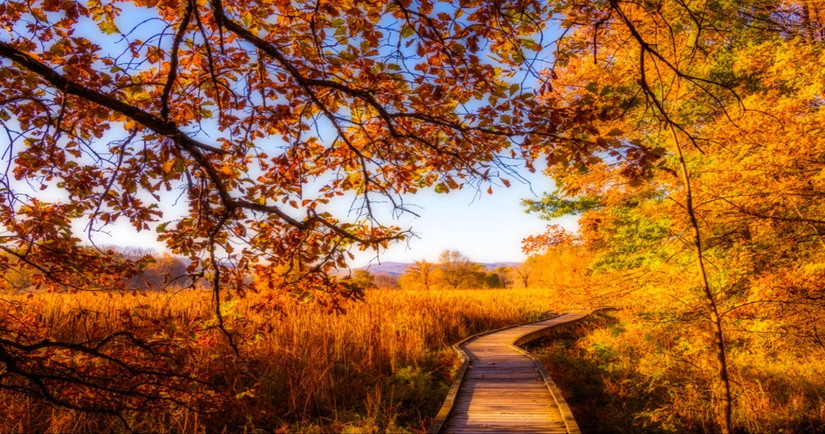 7 Appalachian Trail Towns That Are Perfect For Avid Hikers