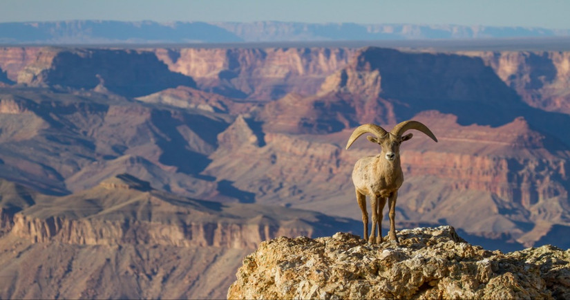 10 Grand Canyon Hikes For Beginners, Based On Their AllTrails Rating