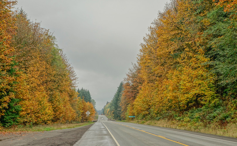 10 Things To Do In St. Helens: Complete Guide To Oregon's Real-Life ...