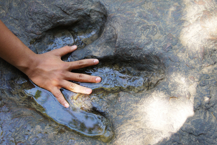 Why Jurassic National Monument In Utah Is Worth Visiting (& What ...
