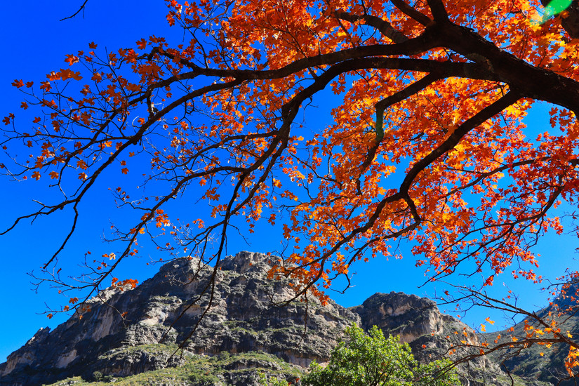 Finding Fall Foliage In Texas: 10 Insanely Beautiful Spots To Watch The ...