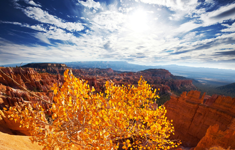 Leaf Peeping In US National Parks: Where To Go In November