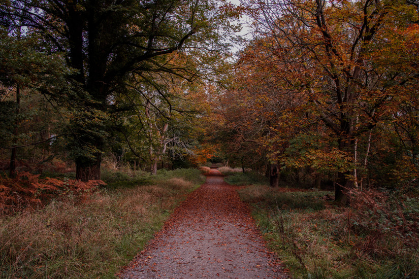 10 Best Hikes In The UK With The Most Gorgeous Fall Foliage Colors