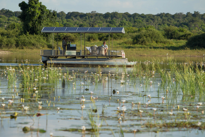 Going Green: The Ultimate Guide To A Sustainable Safari In Botswana