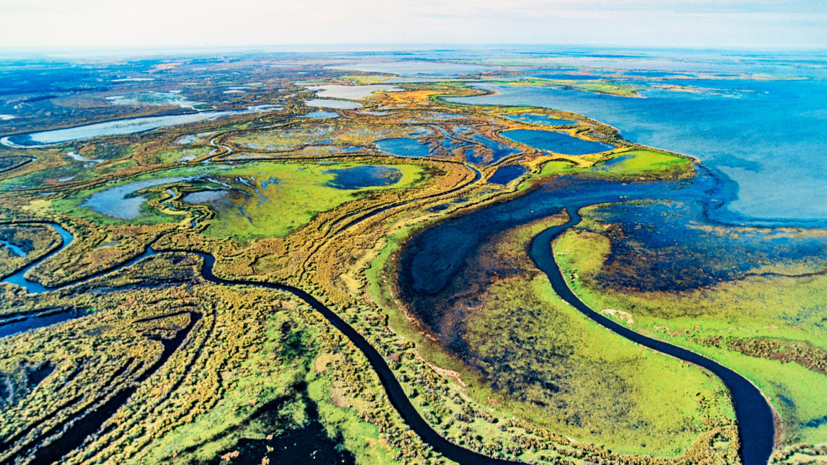 Wood Buffalo National Park: Discover Canada's Largest & Remote National ...