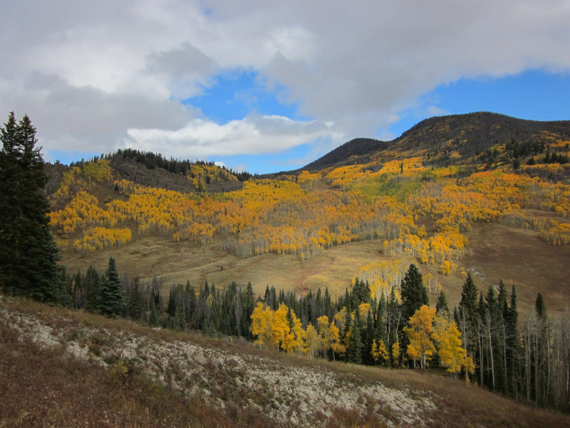 10 Easy Colorado Hikes That Lead To Surprisingly High-Elevation Views