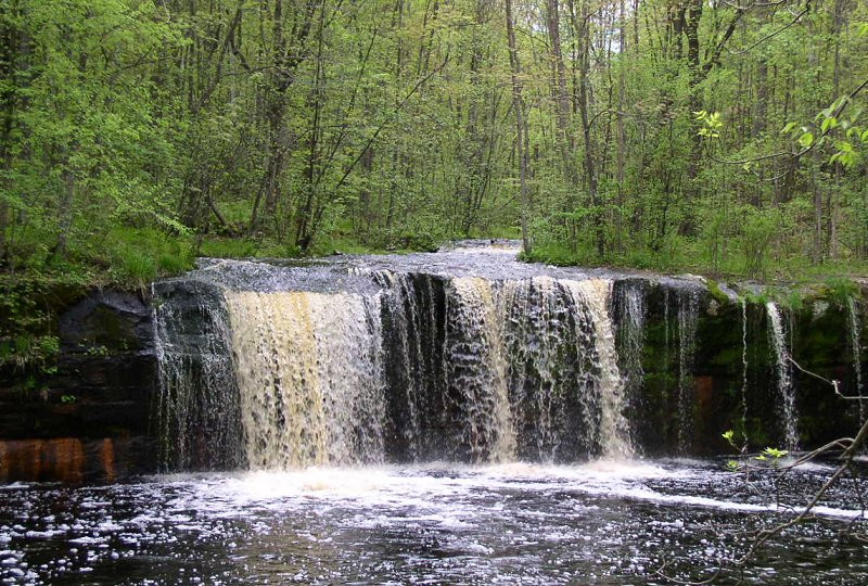 Top 10 Destinations In Minnesota To Visit This November Before Things ...