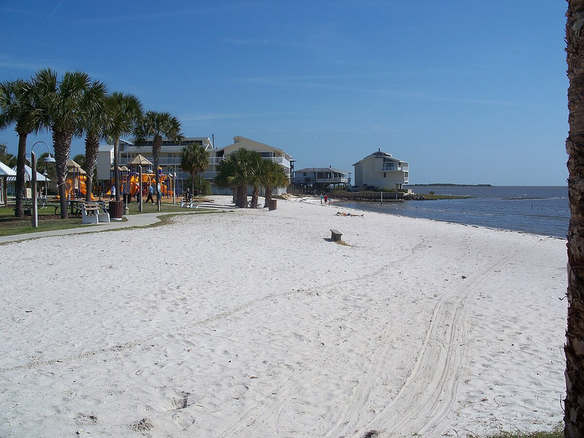 This State Has The Most Reported Shark Attacks, According To Research