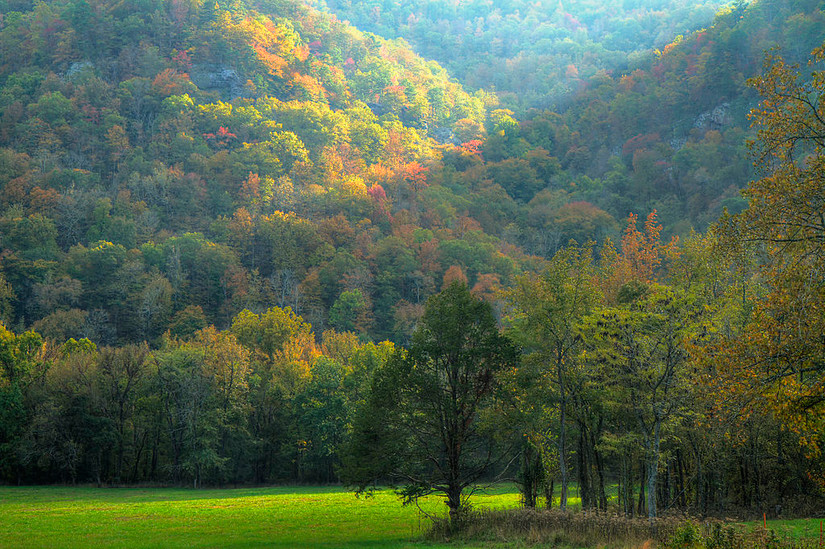 10 Scenic Train Rides Throughout The Midwest With The Best Views