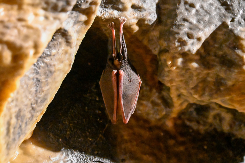 10 Incredible Caves Worth Seeking Out In Vermont