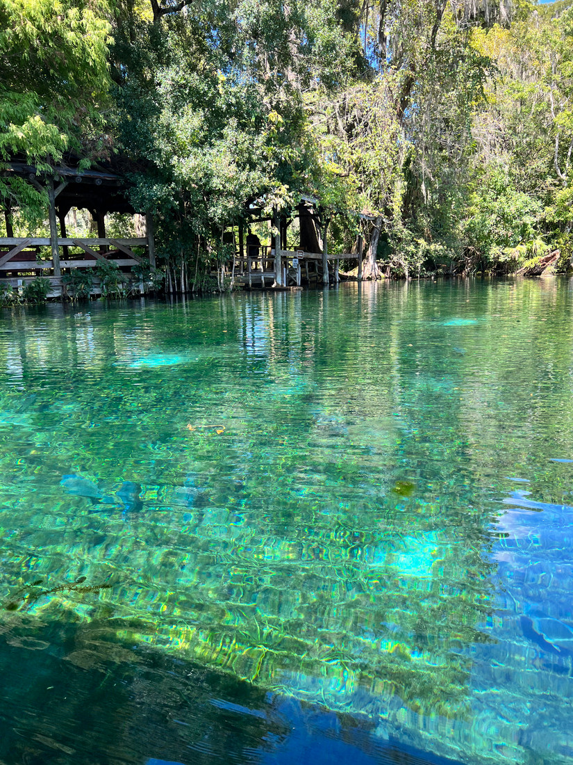 Ocala, Florida, Where Local Roots Run Deep: A Guide To Ocala's Local ...