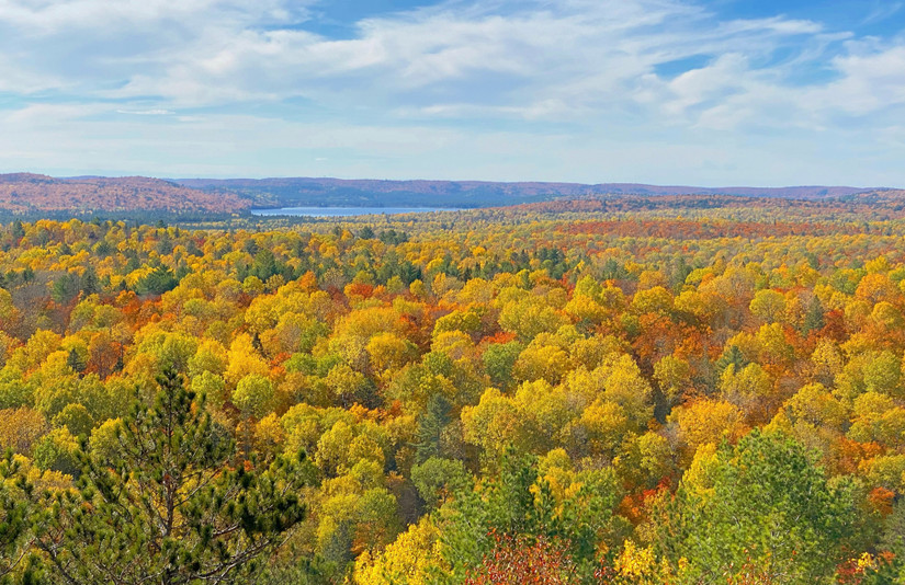 10 Best Hiking Trails In Algonquin Park For Fall Foliage