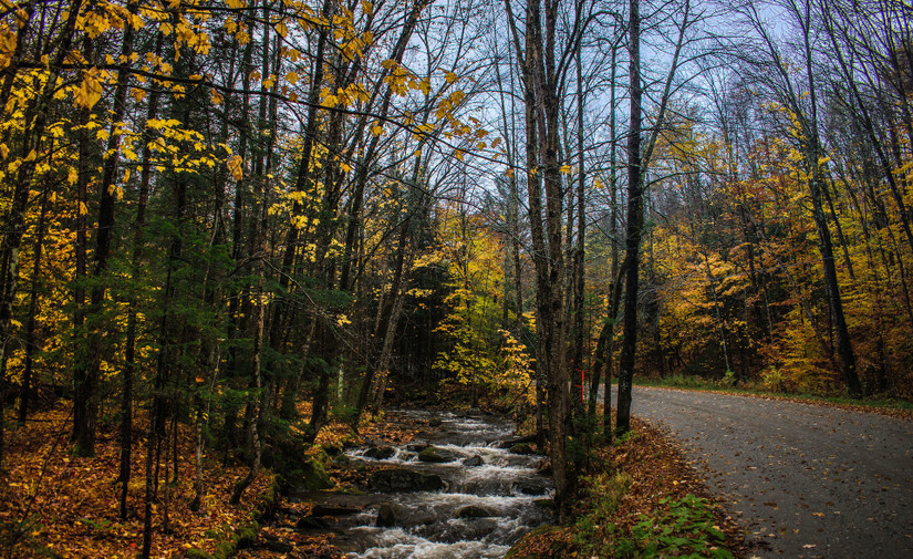 14 Most Scenic Fall Drives In Vermont For Leaf-Peepers
