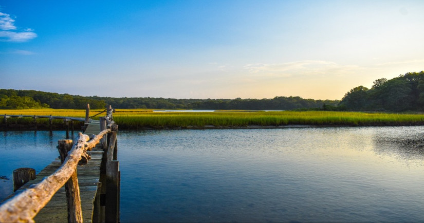 Hiking On A Hidden Gem: 7 Beautiful Hikes On Shelter Island