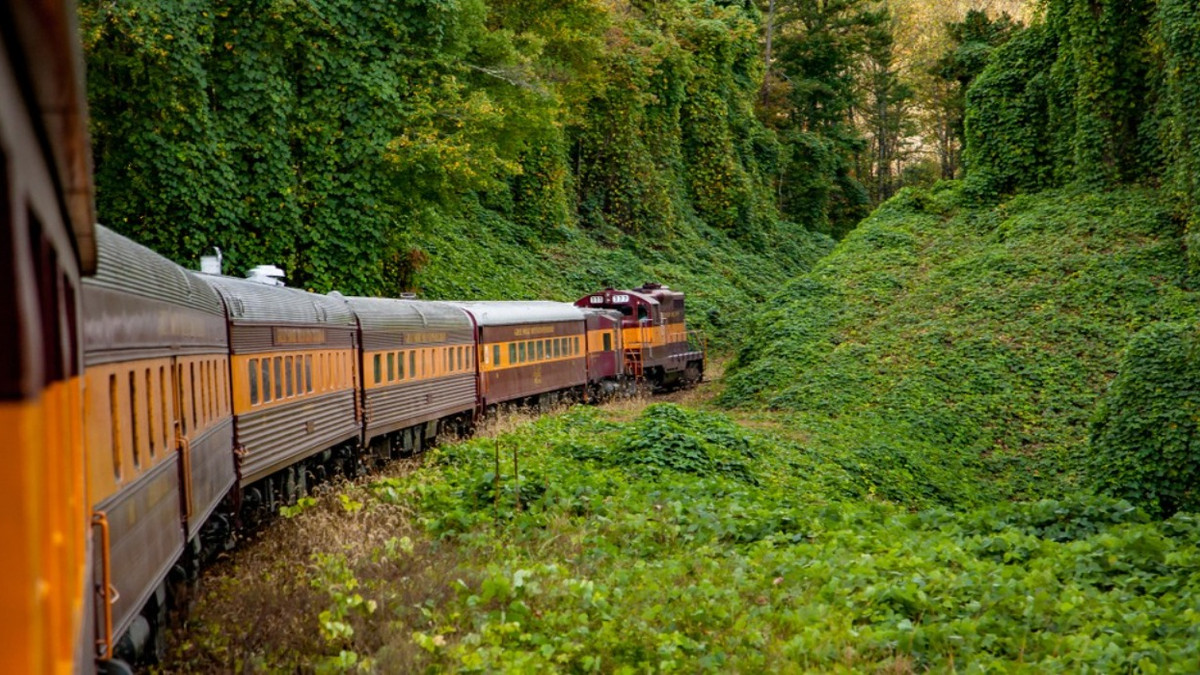 10 Affordable Yet Scenic Train Rides In The US