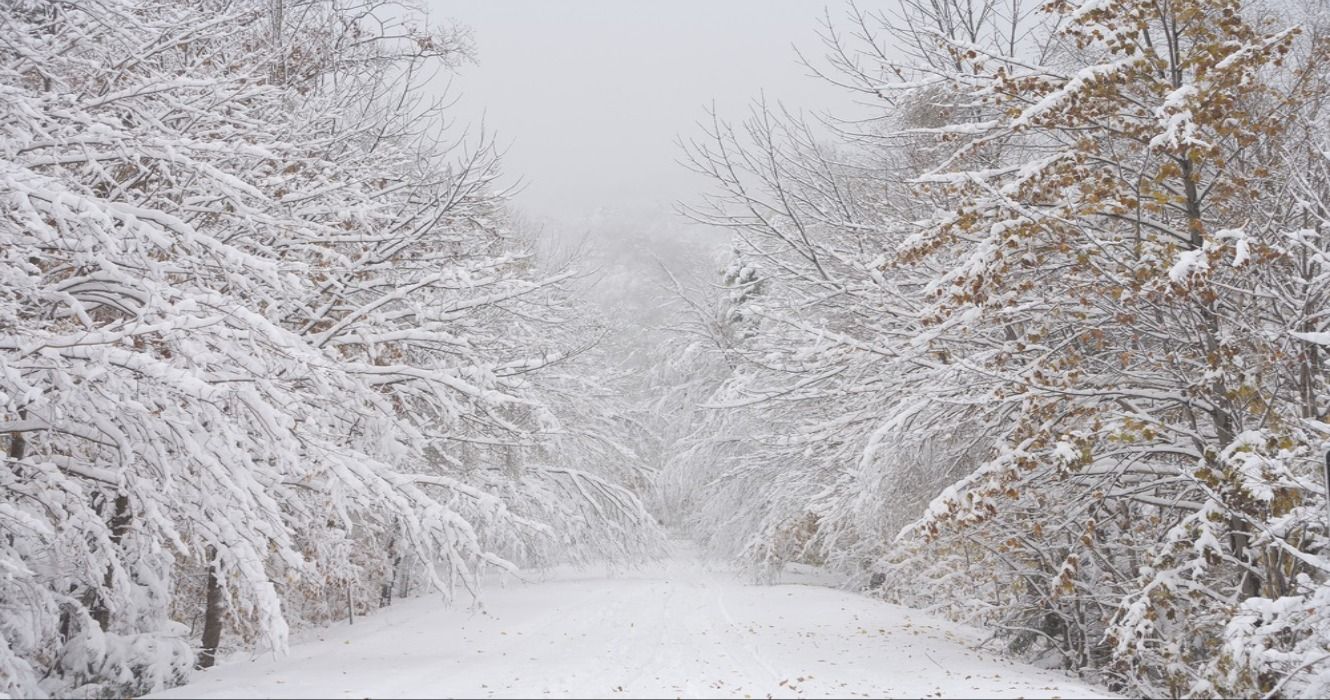 10 Small Towns In Vermont That Are Straight Out Of A Norman Rockwell ...