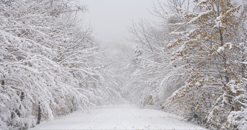 10 Reasons Why Vermont Is Definitely Worth Visiting In December