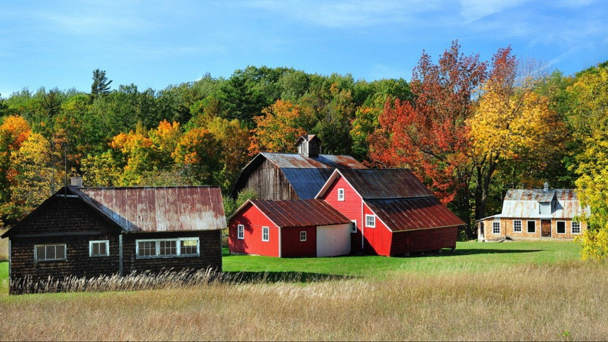 These Scenic Michigan Towns Are Even Better In The Fall