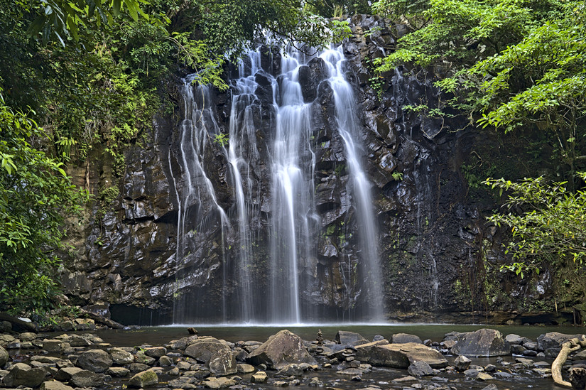 10 Incredible Facts About The Daintree Rainforest You Should Know