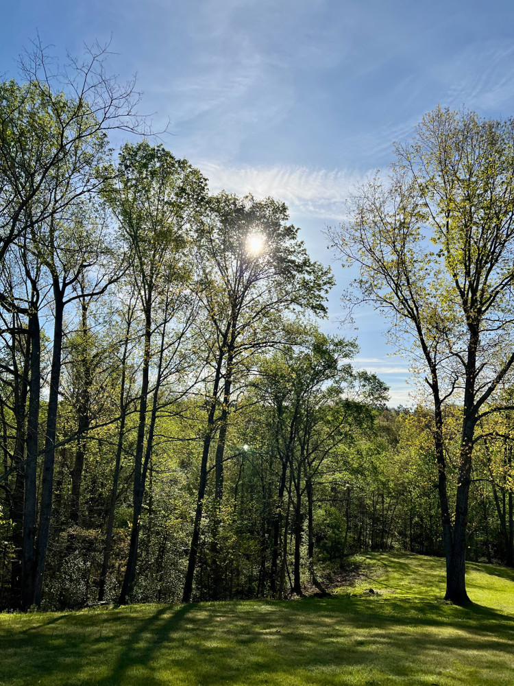 10 Scenic Train Rides Throughout The South With The Best Views
