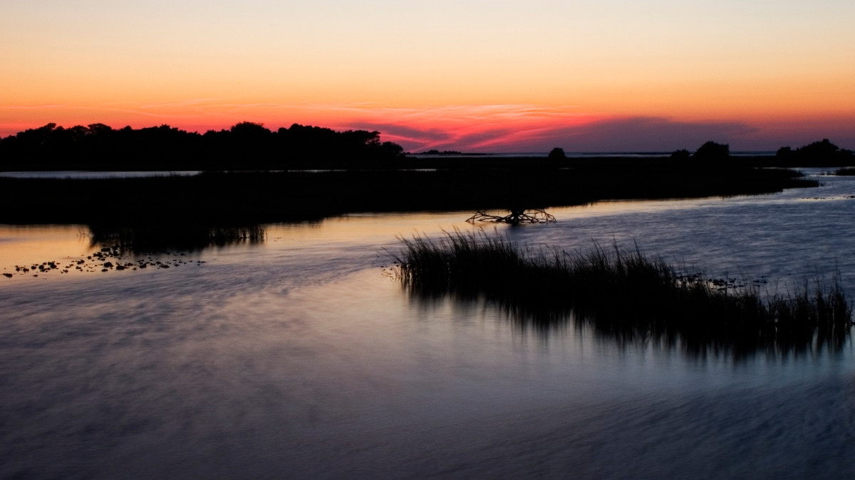 10 Things To Do In Cedar Key: Complete Guide To Florida's Tiny But ...