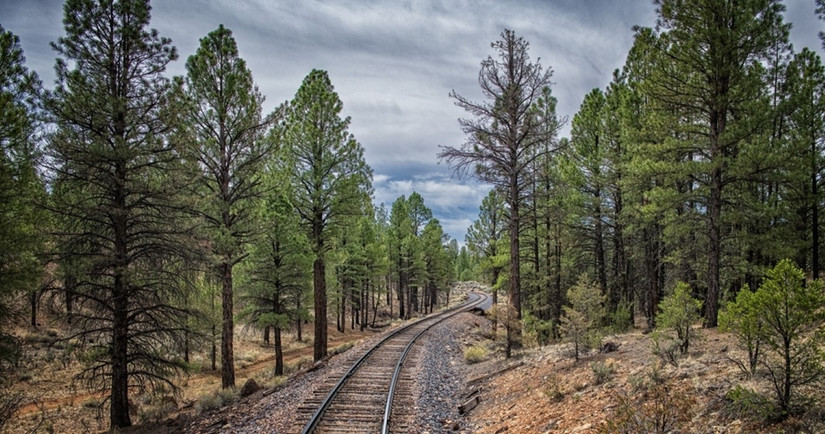 These Are 12 Of The Most Historic Train Rides To Enjoy In America