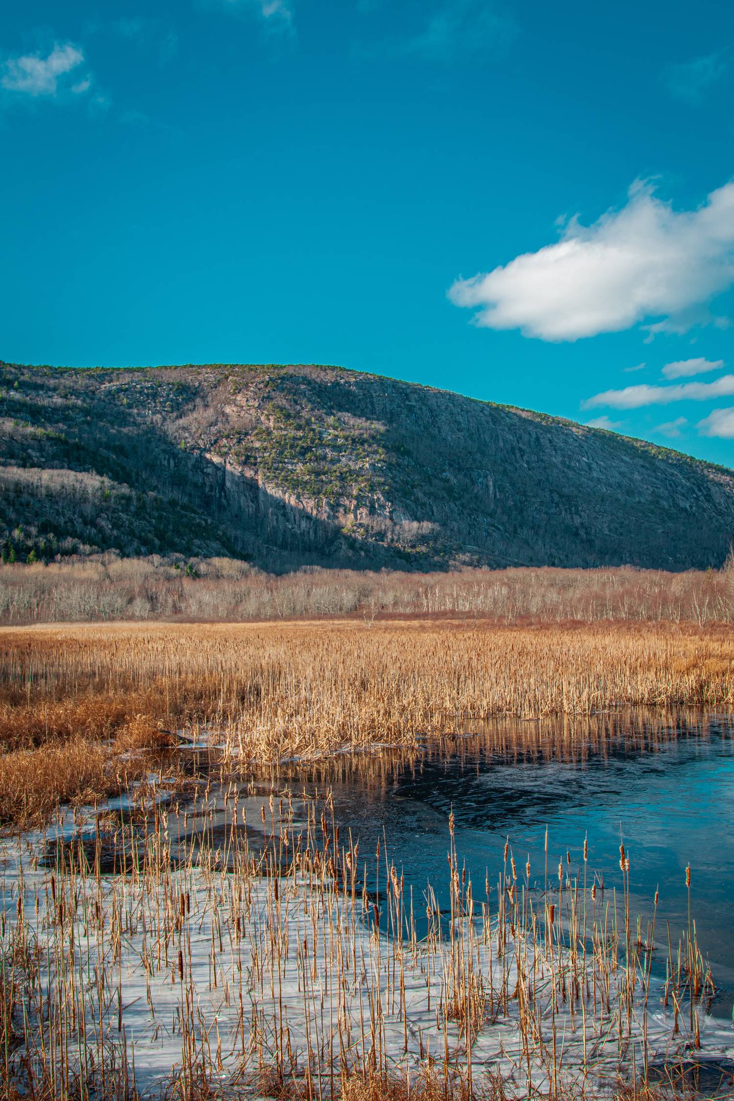 10 Best Hikes In Acadia National Park