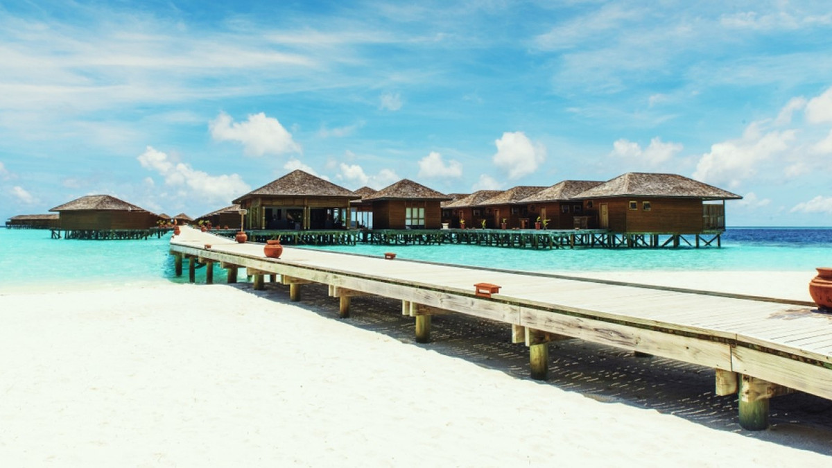 10 Best Scuba Diving Resorts In The World For An Aquatic Adventure Of A ...