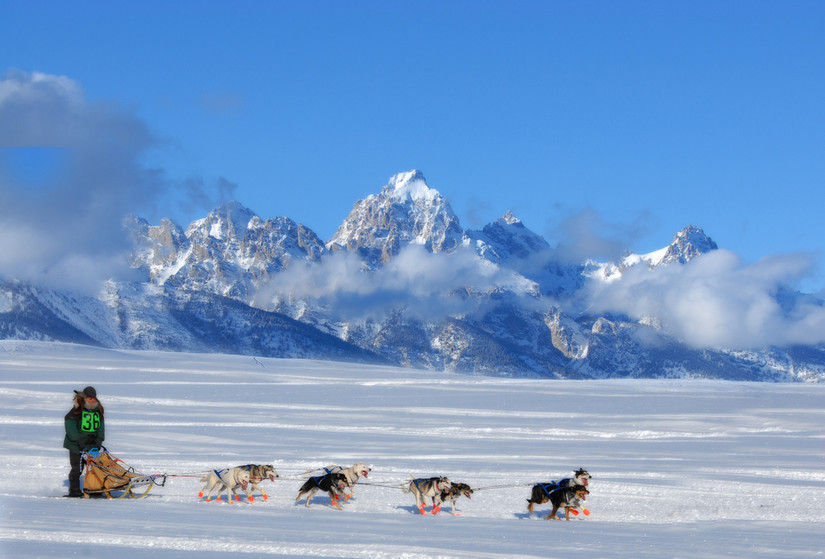 Plan Ahead & Visit The Annual Iditarod Trail Sled Dog Race In Alaska