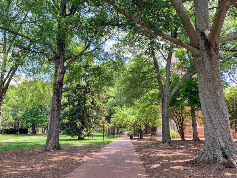 These Are The 10 Most Beautiful College Campuses In North Carolina