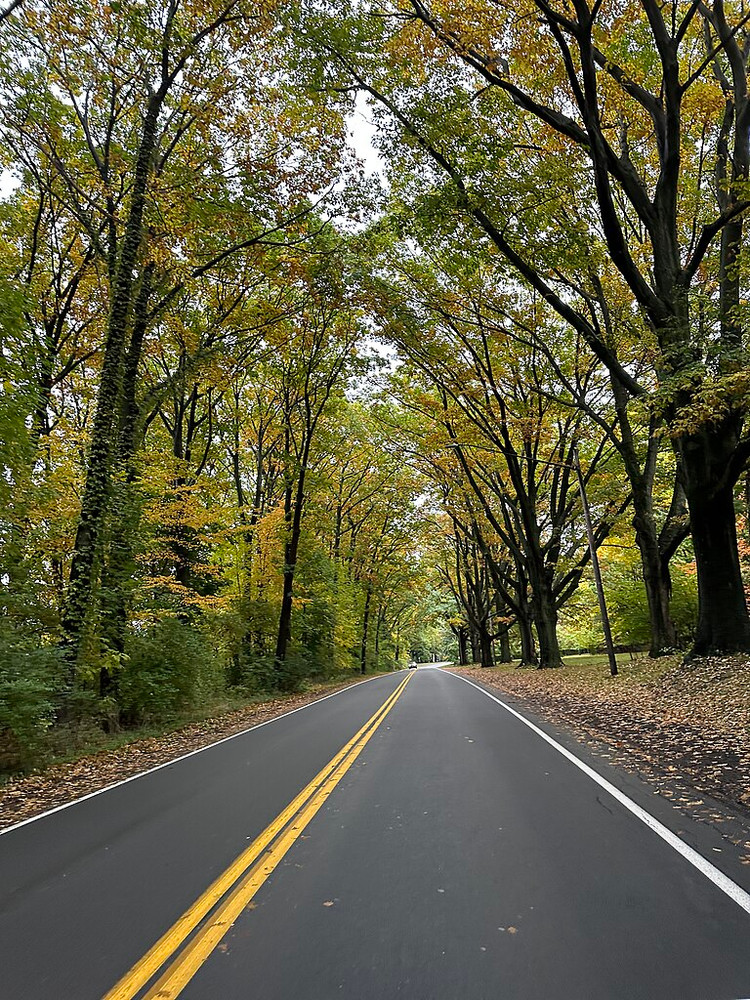10 Best Road Trips You Can Take Through The Scenic State Of Pennsylvania