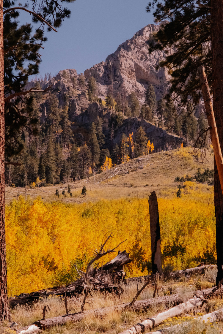 10 Scenic Nevada Towns That Are Near Beautiful Hiking Trails For Avid ...