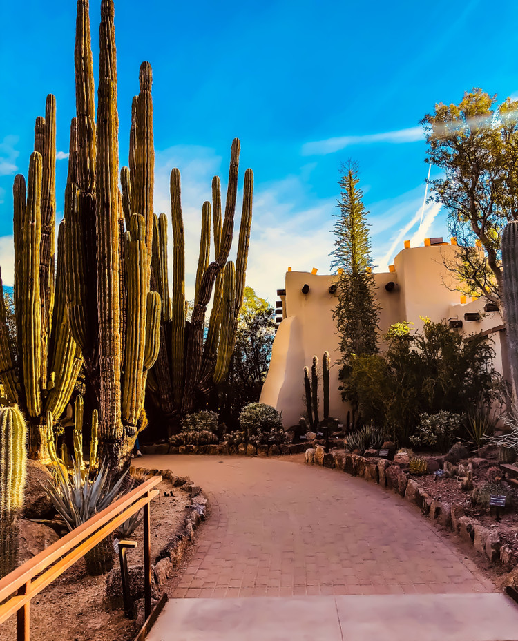 Here's What Phoenix, Arizona, Looks Like In Winter (& Why You Should Visit)