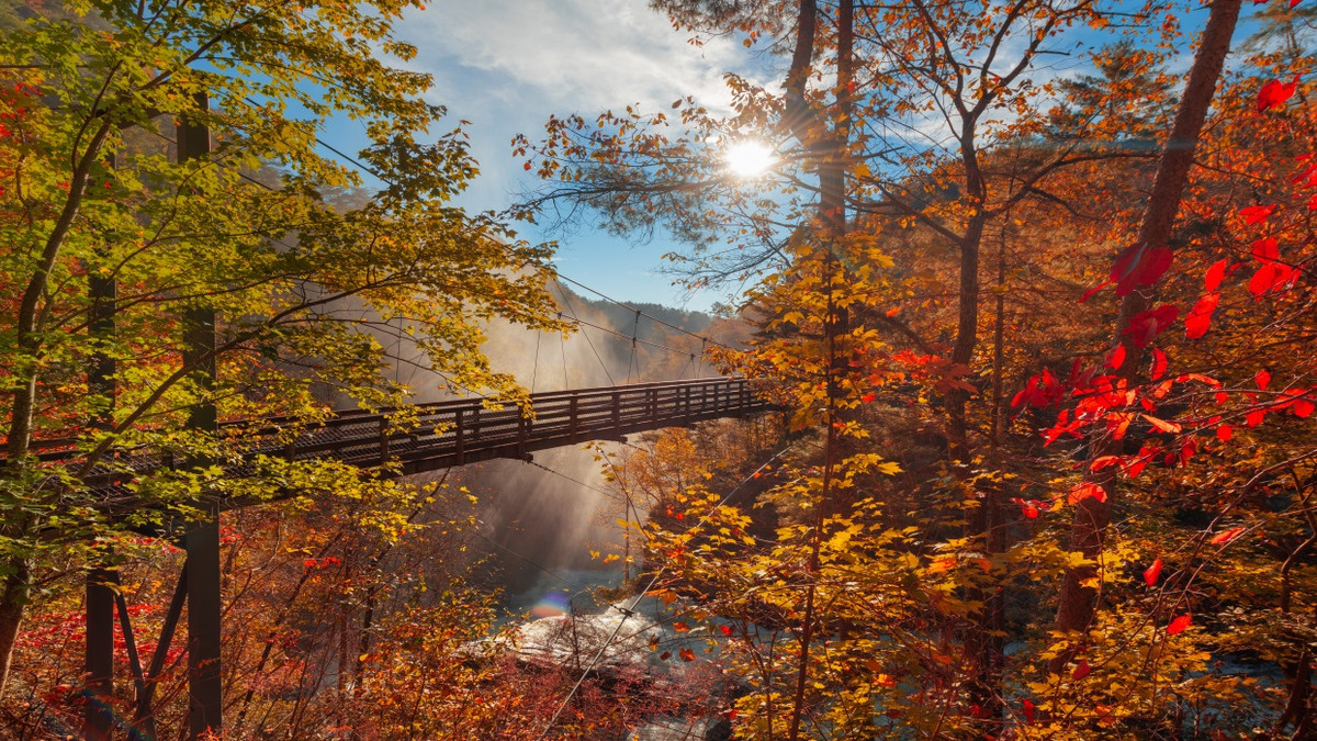 10 Hidden Gem Towns In Georgia That Should Be On Your Bucket List This ...