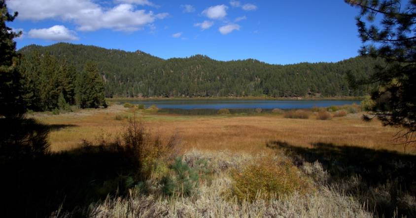 This Countryside Nevada Town With A Strange Nickname Is Surprisingly ...