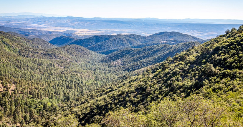 10 Amazing One-Day Road Trips To Take In Arizona