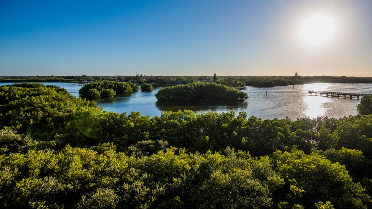 10 Beautiful Florida Hikes, Ranked By Their AllTrails Rating
