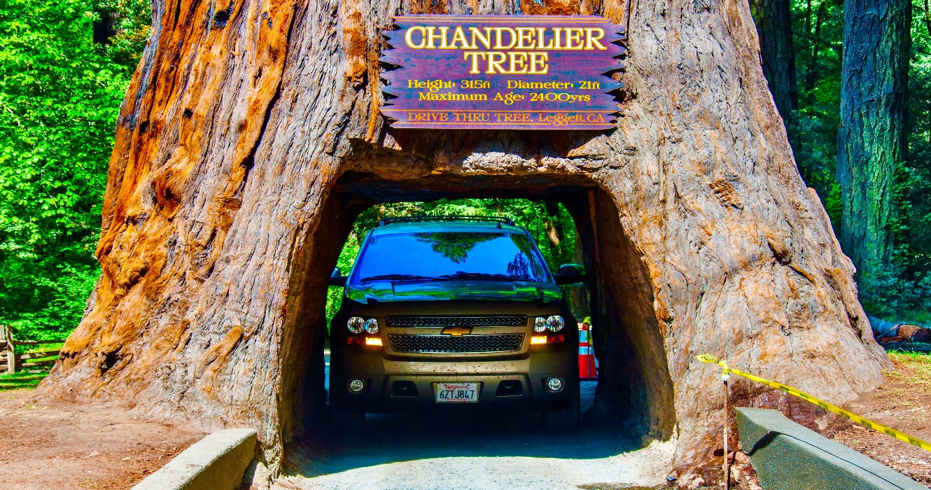 You Can Actually Drive Your Car Through This Californian Redwood Tree