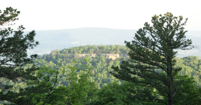 The Arkansas Dragon: What To Know About This State's Most Scenic Drive