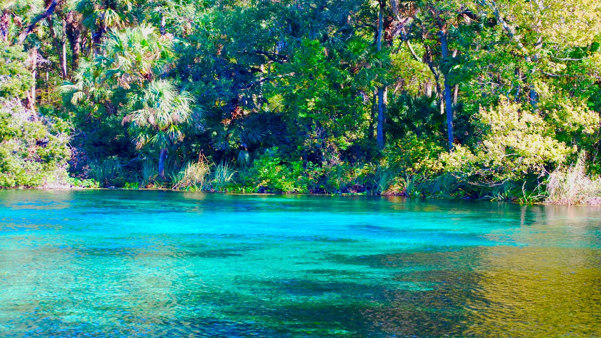 Alexander Springs Is The Best Swimming In Ocala, And Also Home To Its ...