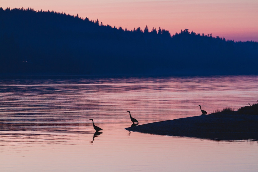 10 Beautiful Coastal Towns In Washington